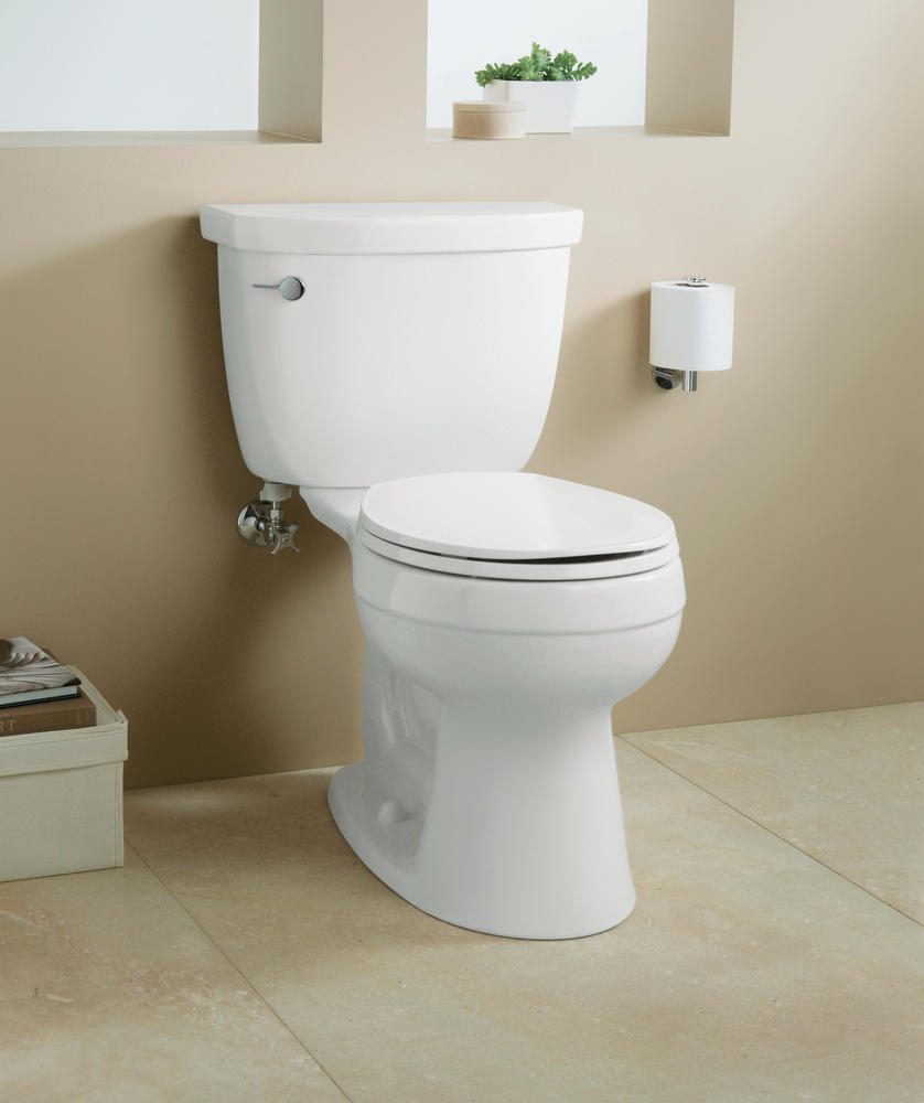 When Should You Buy a New Toilet? - My Green Home Blog